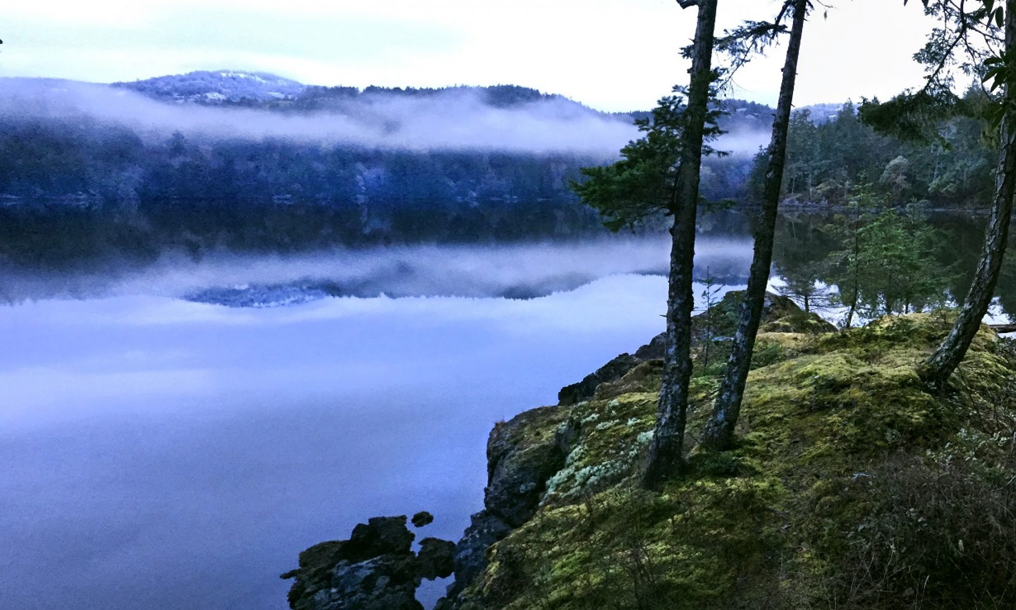 The Covehouse – … a secluded seaside cottage in Sooke BC